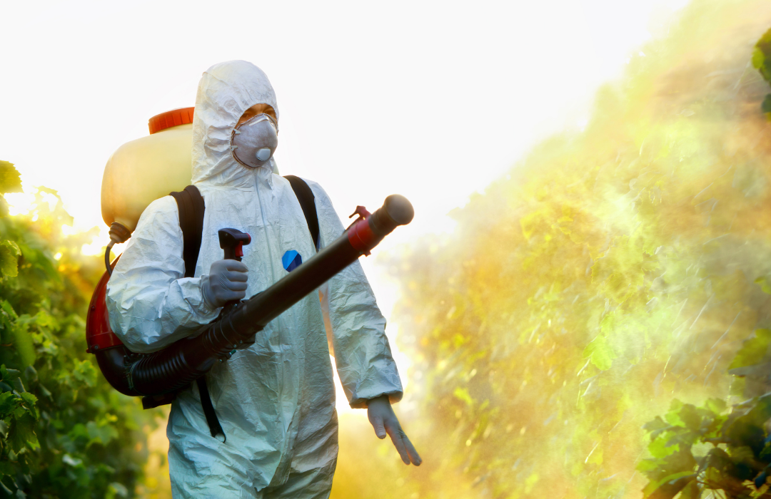Pest Control Service In Manassas, VA | Blue Star Solutions
