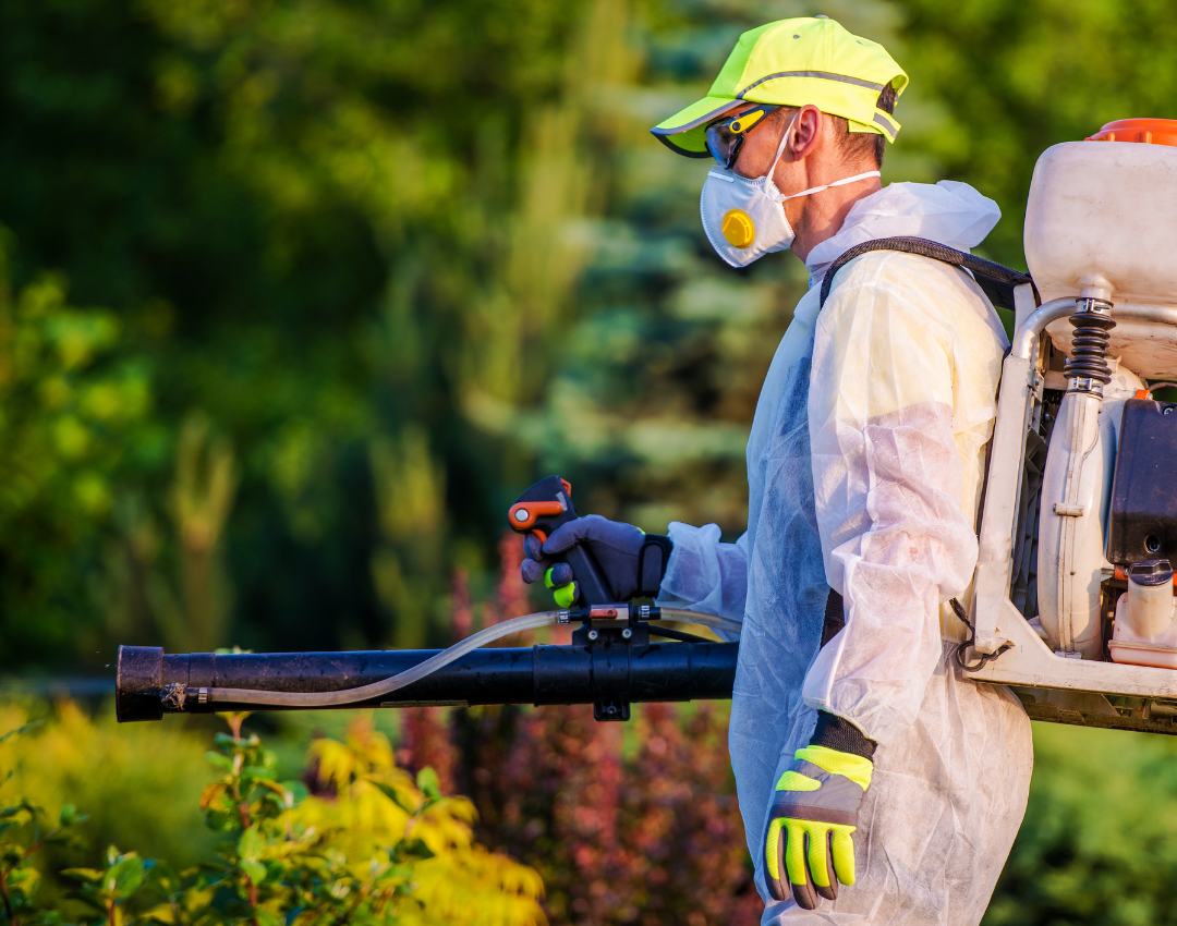 About Us - Blue Star Pest Service