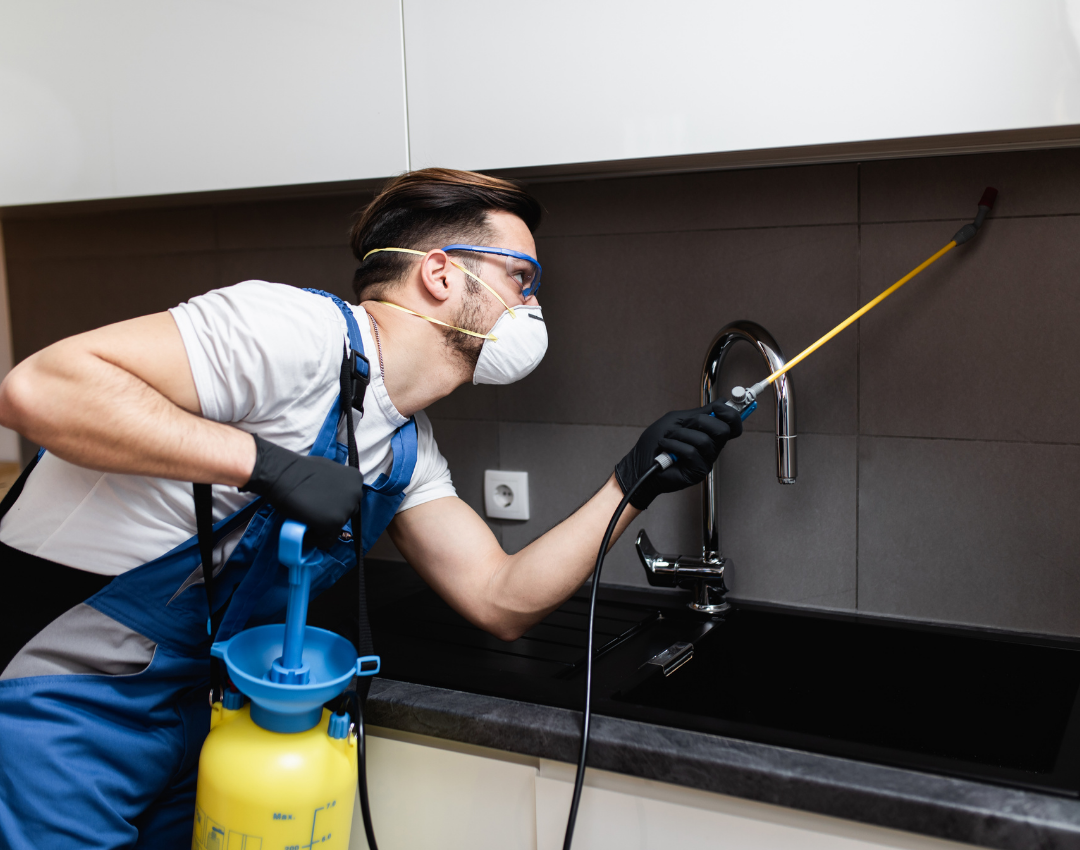 Services - Blue Star Pest Service